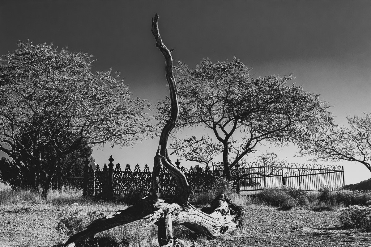 Cities of the Dead: Silver Terrace Cemeteries, Virginia City, Nevada ...